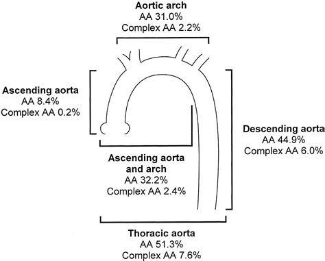 Independent Association Of High Blood Pressure And Aortic