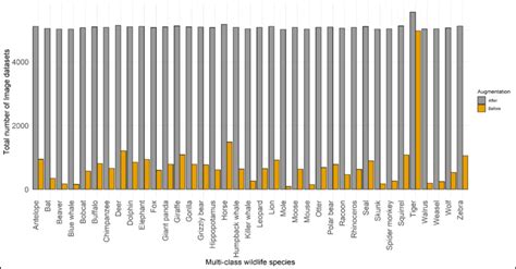 total number of image datasets in each class before and after the data