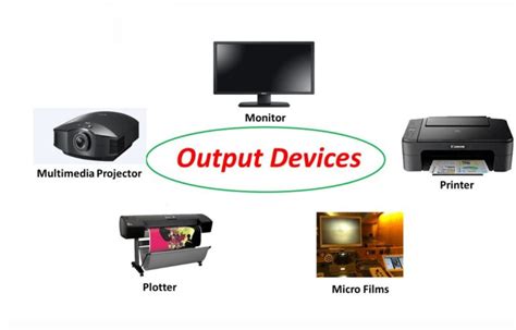 Computer Input Device And Output Devices Guide Examples Lucky Falcon