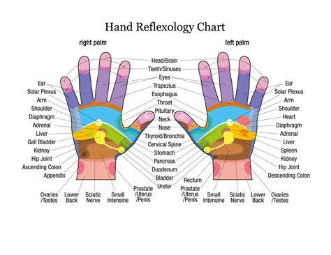 Free Printable Reflexology Chart Free Printable Chart