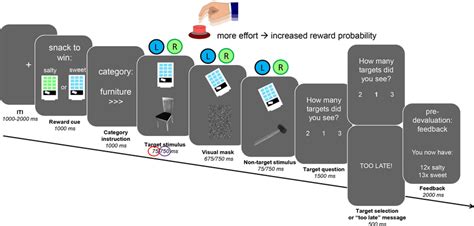 Trial Structure For The Categorical Visual Detection Task With Effort