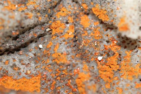 Pin By MaryJo Fisher On Rust Rust Dying Natural Dyes Rust