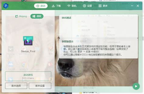 Pcl自定义主页bug · Issue 722 · Hex Dragonpcl2 · Github