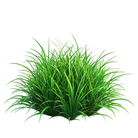 Grass Grass Realistic 3d Grass 53466254 Png
