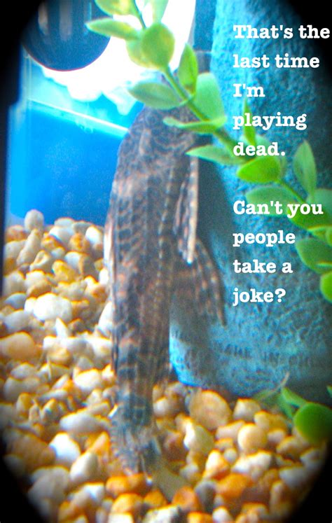 Musing On The Miracle Of Sucky Jamie Miles Blog