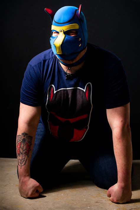 How To Train Your Puppy Pet Play For Absolute Beginners