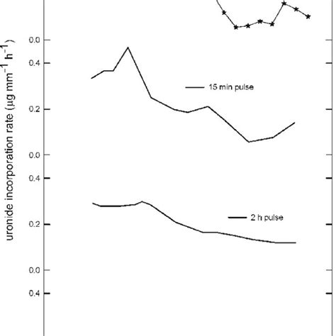 Numerical Simulation Of Radiolabel Incorporation Experiments Upper Download Scientific Diagram