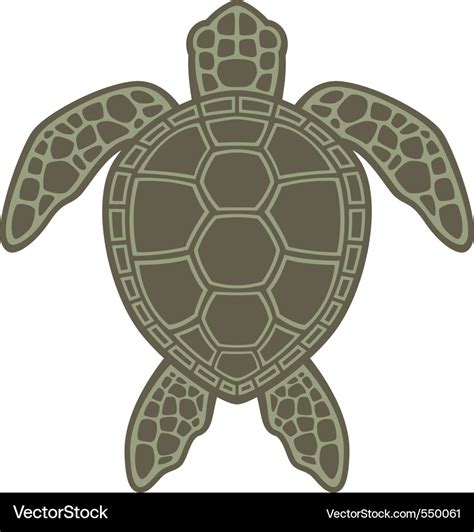 Green Sea Turtle Shell Royalty Free Vector Image