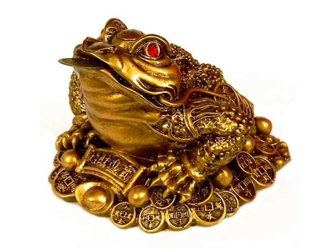 Денежная жаба картинка 58 фото