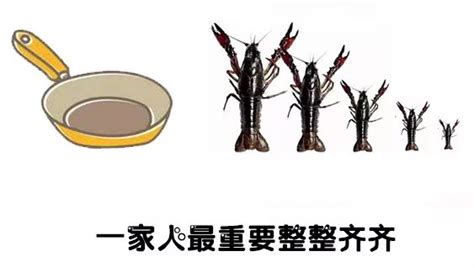 数据类型之字符串篇 美人天赐 博客园