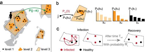 Schematics Of The Mob Cov Model A Human Mobility On The Three Level