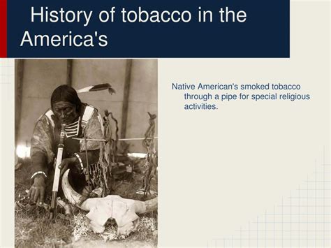 Ppt Tobacco Powerpoint Presentation Free Download Id2332874