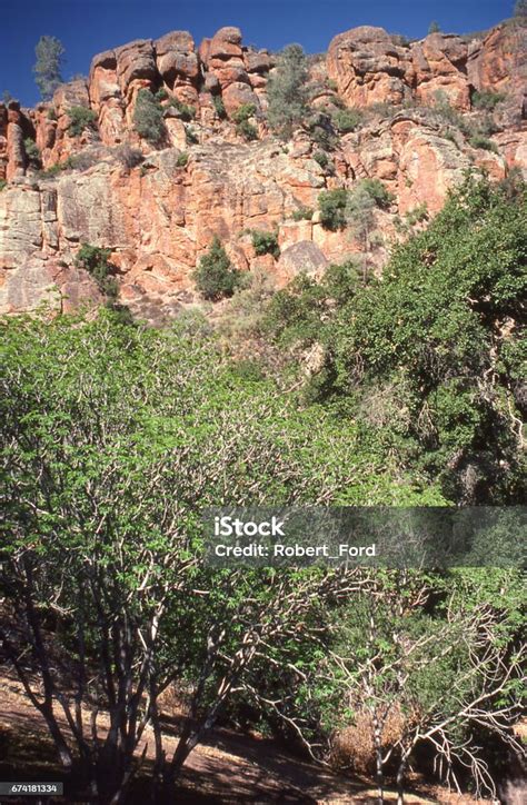 Vegetation And Rocks Along The San Andreas Fault In Pinnacles National