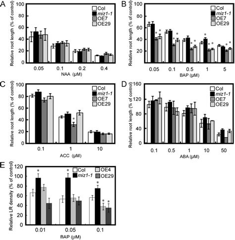 Figure 1 From Hormonal Regulation Of Lateral Root Development In Arabidopsis Modulated By Miz1