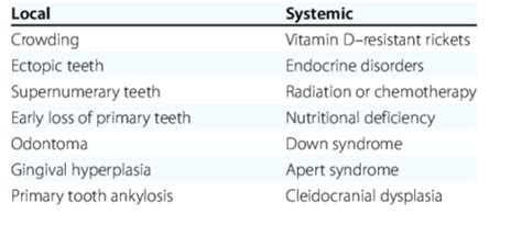 Eruption And Shedding Of Teeth Flashcards Quizlet