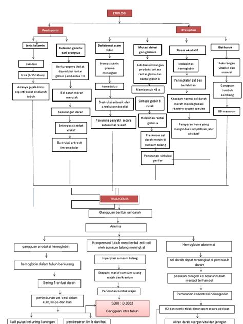 Pathway Thalasemia 1 Pdf