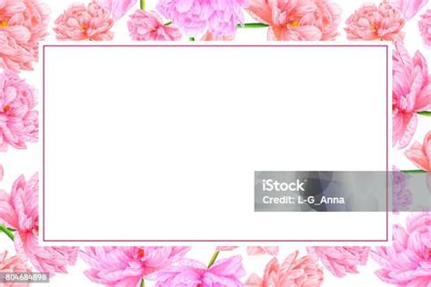 핑크 수채화 작 약입니다 식물 예술입니다 명함 배너 포스터 전단지 노트북 화장품 향수 인사말 카드 또는 결혼식 초대장을 위한 템플릿 0명에 대한 스톡 사진 및 기타 이미지