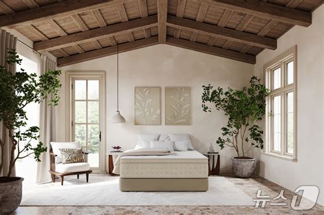 소재 차별화 통했다마테라소 말총 매트리스 매출 성장세 뉴스1