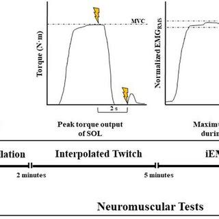 Pre Experimental Protocol Overview Setup Consisted Of Participant Download Scientific Diagram