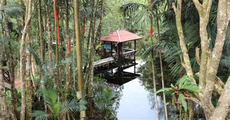 Sirindhorn Peat Swamp Forest Travel Guide Sirindhorn Peat Swamp Forest Attractions
