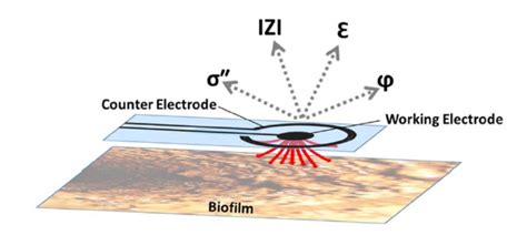 Non Contact Monitoring Of Biofilms And Corrosion On Submerged Surfaces