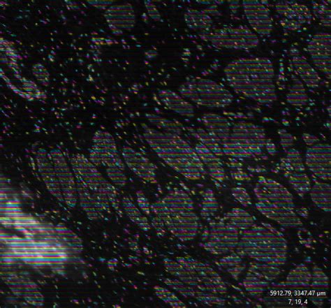 Issue Opening Some Images In Qupath Nd2 File Type · Issue 690 · Qupathqupath · Github