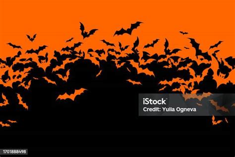 주황색 배경에 검은 박쥐가 있는 할로윈 배너 텍스트가 있는 그림입니다 할로윈에 대한 스톡 벡터 아트 및 기타 이미지 할로윈 배경 주제 벡터 Istock