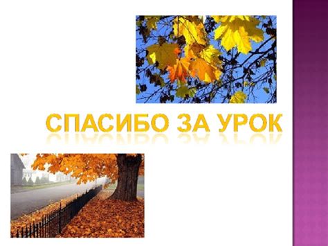 Презентация к уроку русского языка Безударные гласные в корне