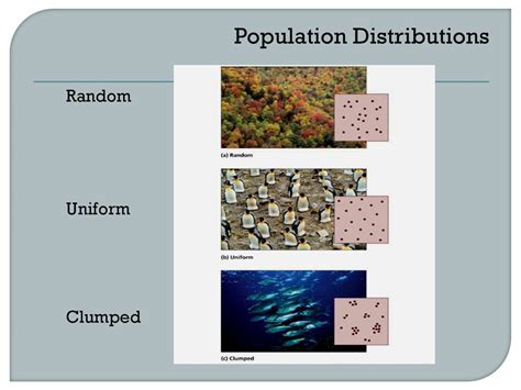 Population Biology Ppt Download
