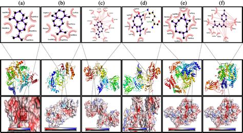 Molecular Docking And Apbs Adaptive Poisson Boltzmann Solver Download Scientific Diagram