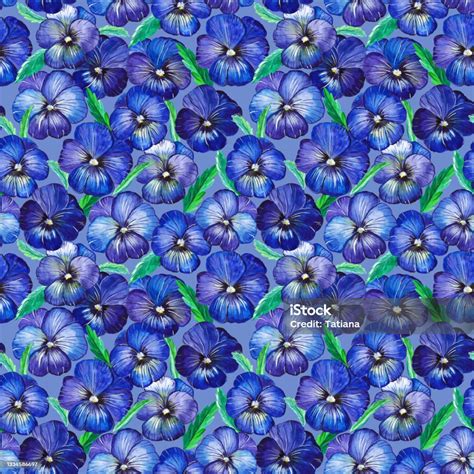 비올라 꽃 파란색 배경에 손으로 그려진 매끄러운 패턴의 그림입니다 꽃잎 잎 가지는 수채화로 그늘을 드며 0명에 대한 스톡 벡터 아트 및 기타 이미지 Istock