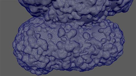 3d Chromosome Y Model Turbosquid 2228498