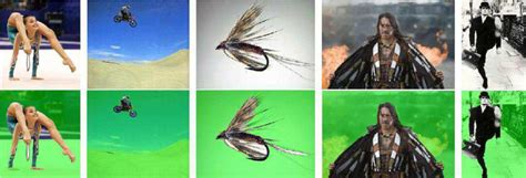 Some Foregroundbackground Image Segmentation Results This Download Scientific Diagram