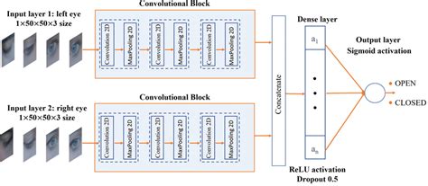 Architecture Of The Proposed Cnn Eye Blink Detector Based On Two Download Scientific Diagram