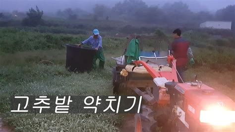 8월20일 고추밭 약치기 개날 건내앞들 비가 자주오고 비 그친 사이에 고추밭에 약칩니다~ Youtube
