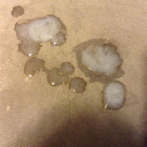 I Needed To Ejaculate To Ease My Boner So I Shot My Load On My