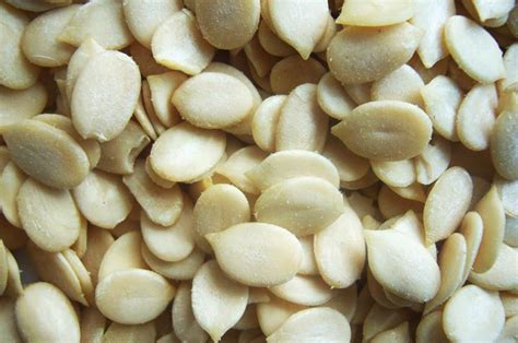 白瓜的籽可以食用吗有哪些营养价值 发财农业网