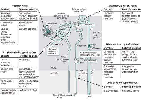 Alkaline Phosphatase Effects