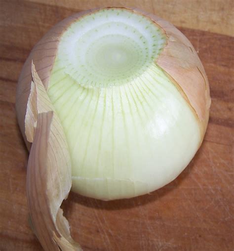 Free Photo Peeling Onion Cuttingboard Onion Peel Free Download Jooinn