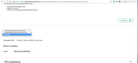 Provide An Easy Way To Enter Custom Url To Try It Feature · Issue 4735 · Swagger Apiswagger Ui