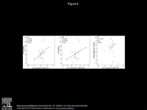 Helena T A Van Tol Johannes C M Ppt Download