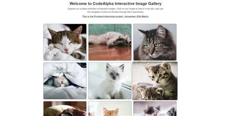 Noman Rafiq On Linkedin Codealpha Opensource Webdevelopment