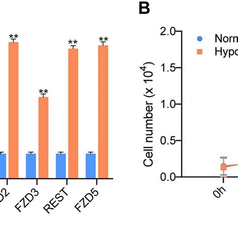 The Expression Patterns Of Differentially Expressed Microrna In Download Scientific Diagram