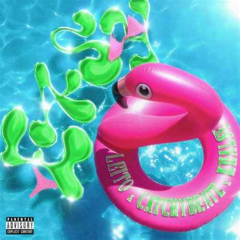 دانلود آهنگ فلامینگو صورتی بیبی روی آب بهزاد لیتو