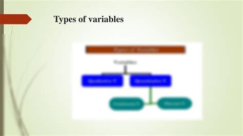 Solution Variable And Types Of Variable Studypool