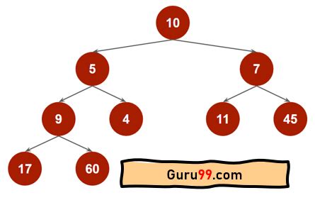 Heap Sort Algorithm With Code In Python And C