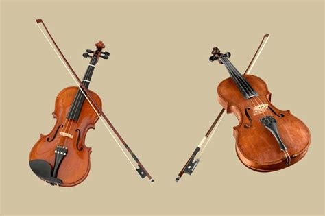 Fiddle Vs Violin Difference Music Temo