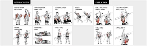 Cortex Sm 25 6 In 1 Power Rack With Smith And Cable Machine Lifespan Fitness