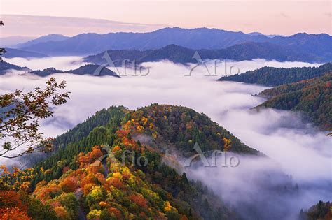 滋賀県 高島市 おにゅう峠の雲海 123582659 の写真素材 アフロ