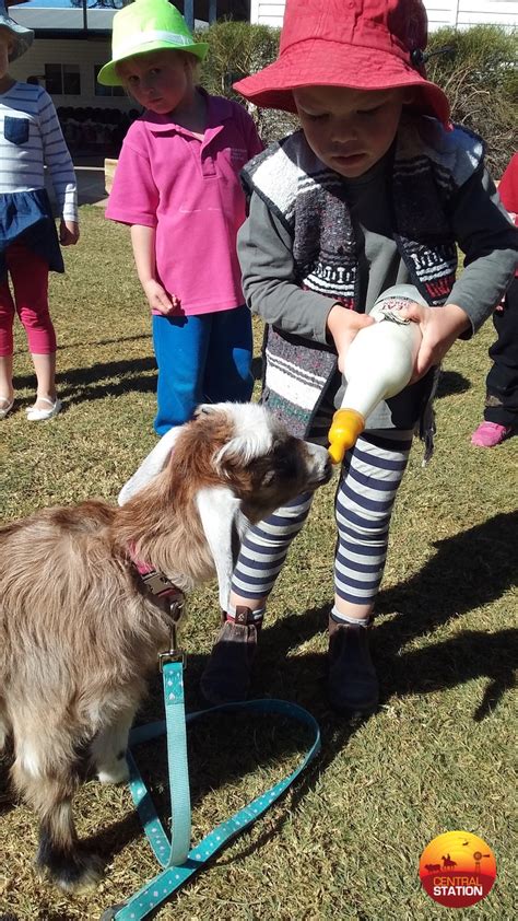 3 3 Preschoolers Got To Feed Dolly Copy Central Station